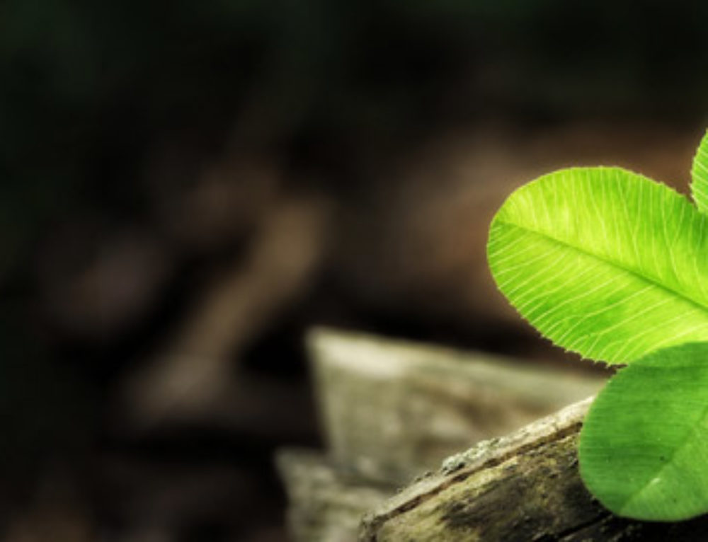 Beware Saint George's Eve – Supernaturally Speaking