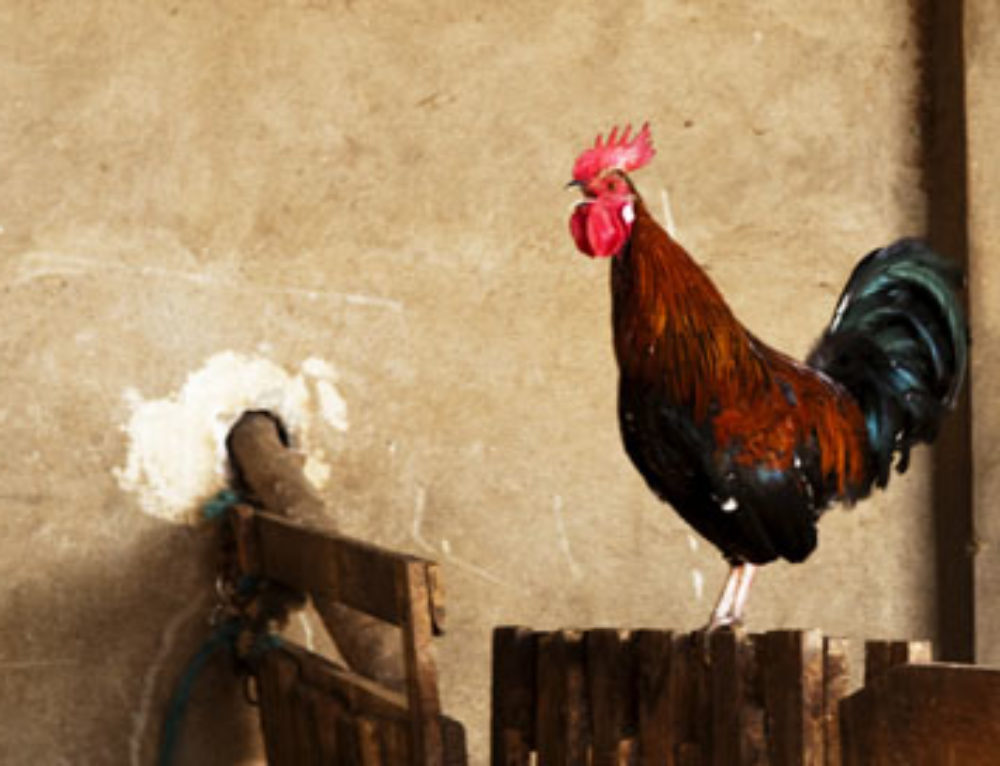 Beware Saint George's Eve – Supernaturally Speaking